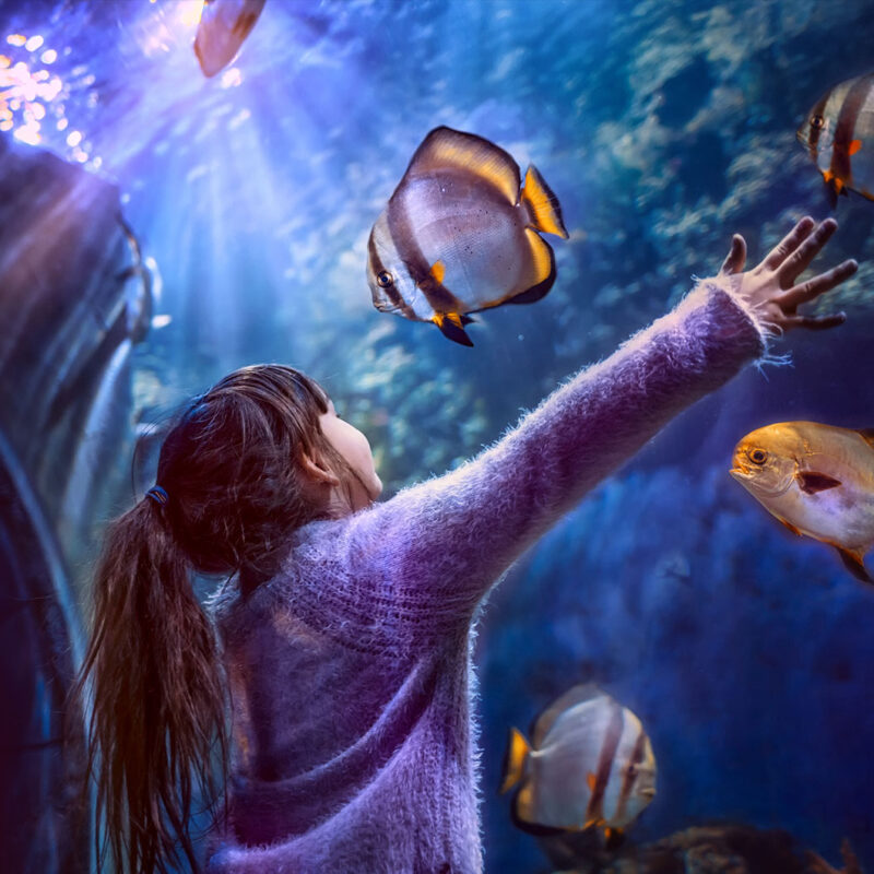 Fulldome Projection Dome 360